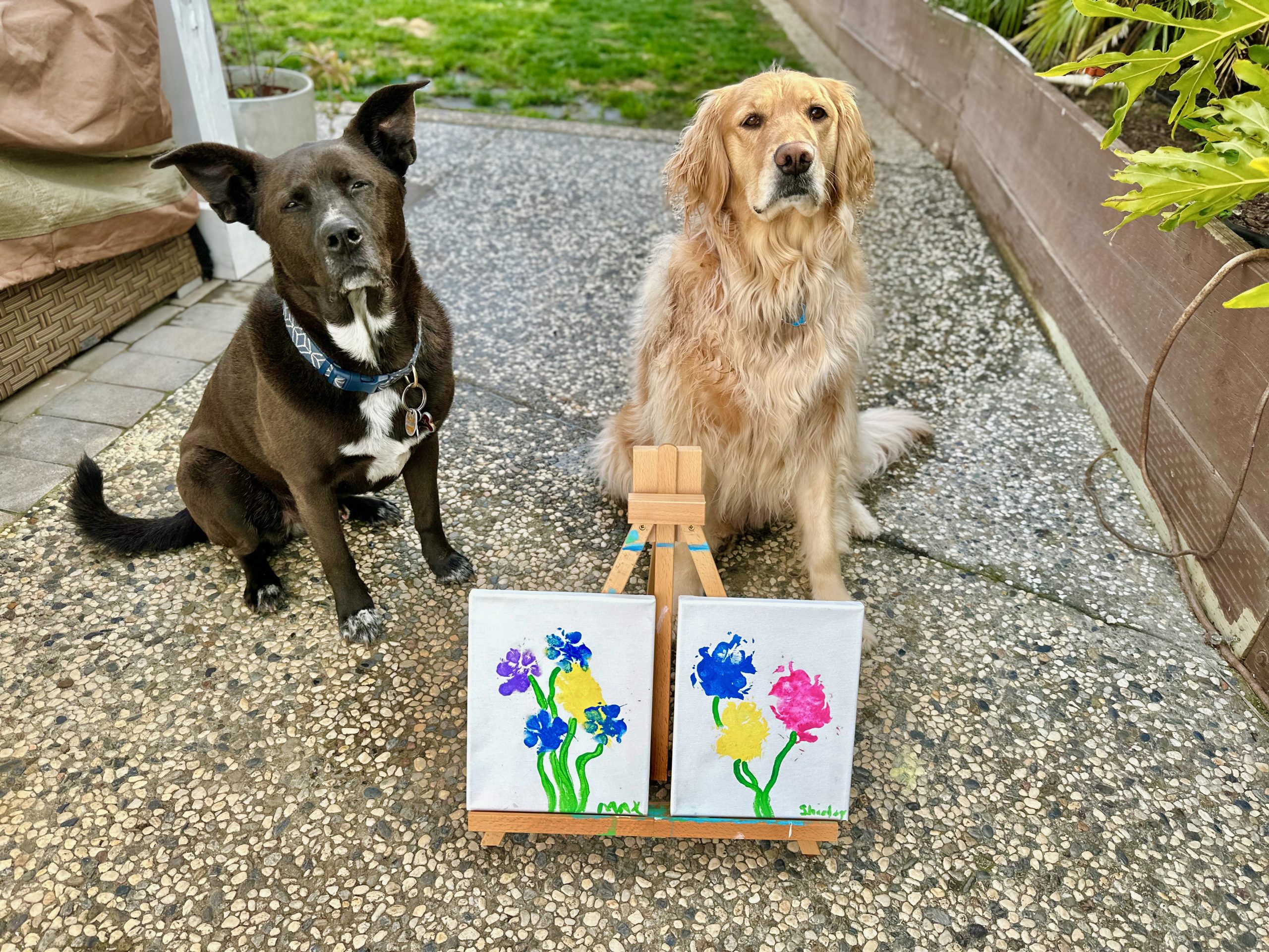 Dog Paw Painting Ideas Infoupdate