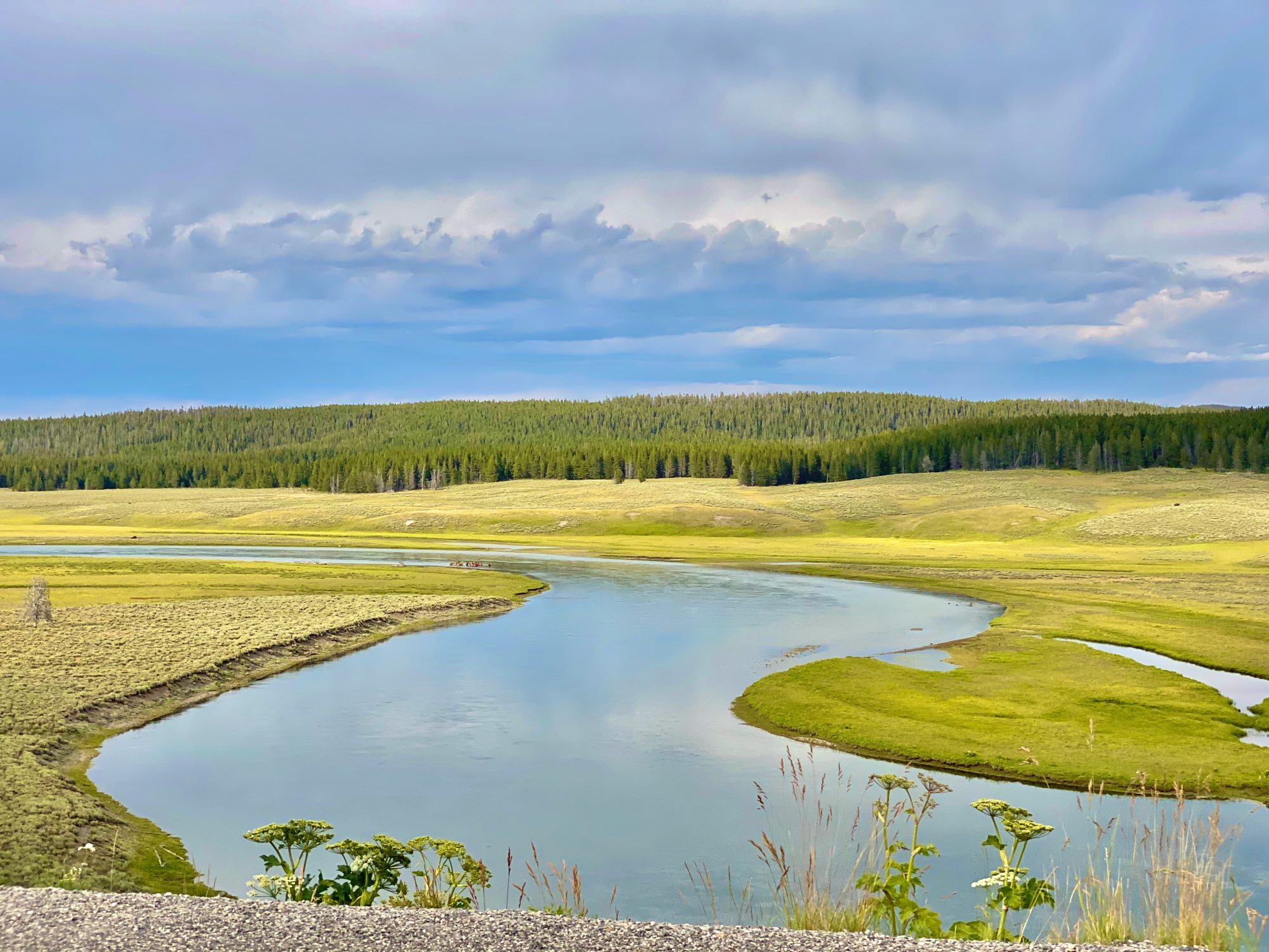 Yellowstone National Park: What to See and Where to Stay - Staying Blonde
