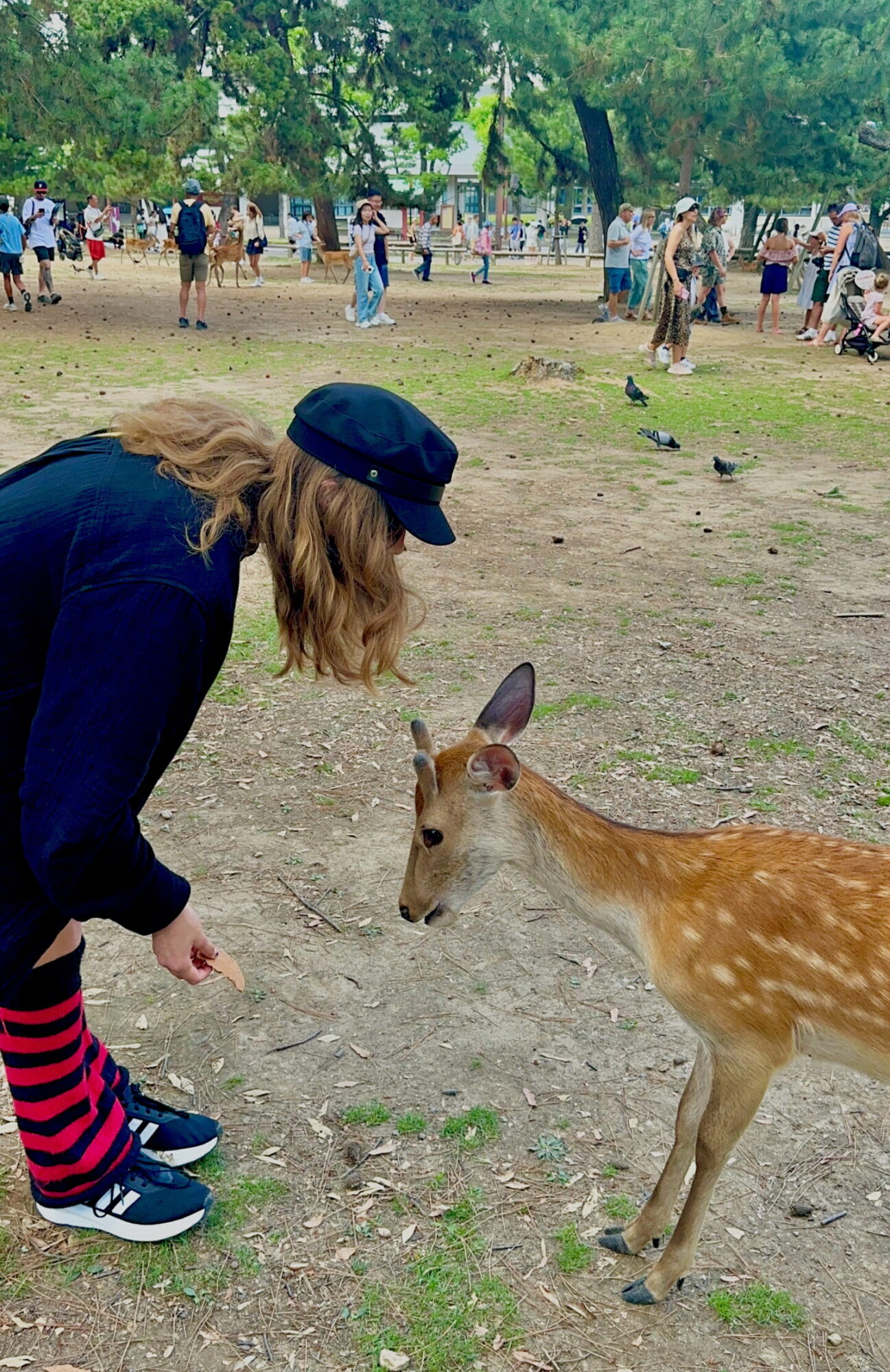 The Ultimate 11-Day Japan Itinerary for Families with Teens - Staying ...